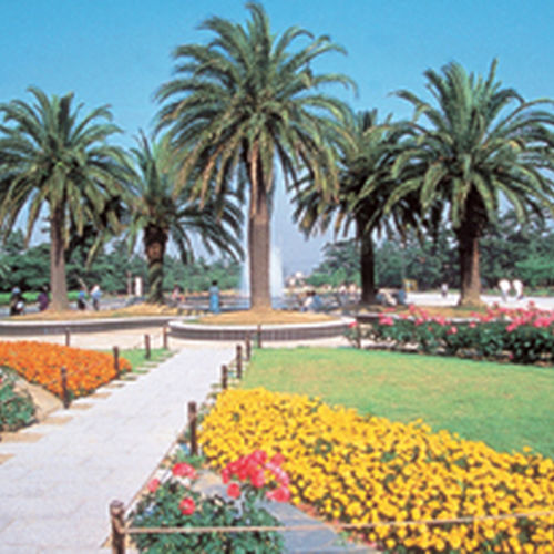 Tokimeki Beach (Tannowa Beach) | OSAKA-INFO